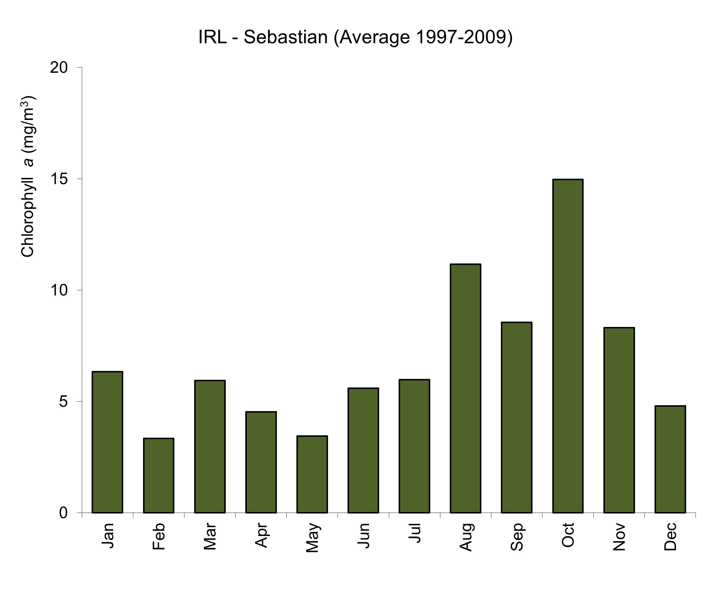 What do clams eat? - Food Quantity