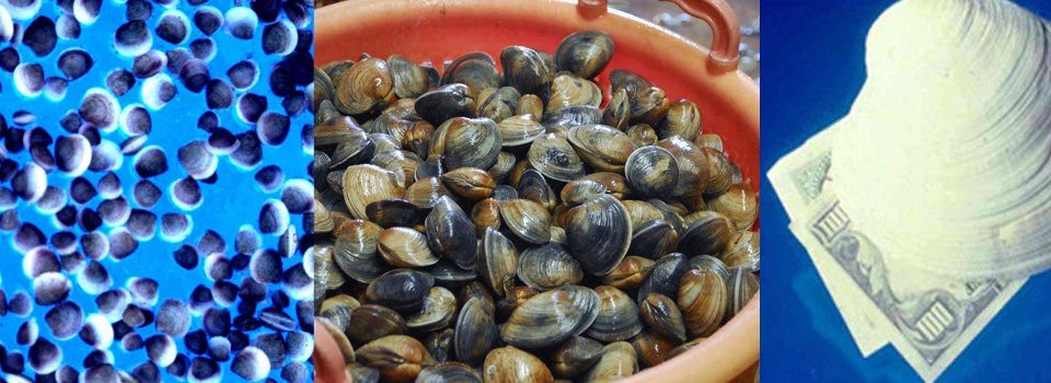 Acquiring a Lease - Florida Shellfish Aquaculture Online Resource Guide