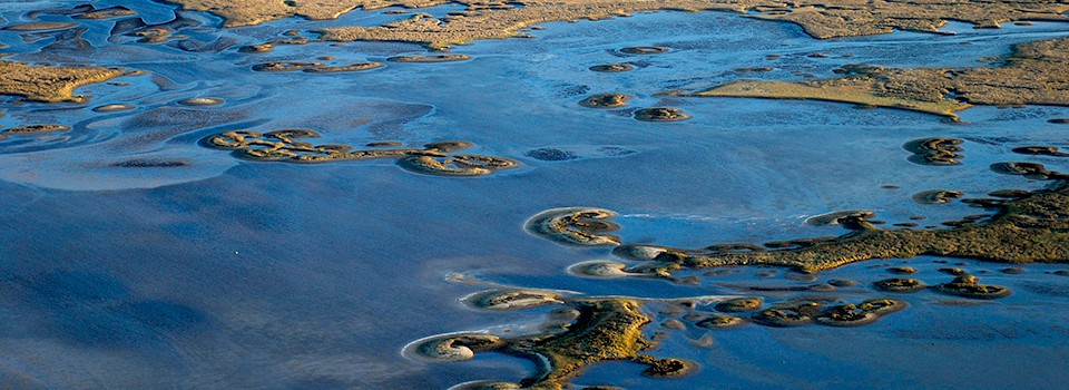 Water Quality Monitoring - Florida Shellfish Aquaculture Online ...