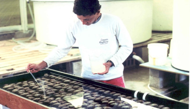 Contact Us - Florida Shellfish Aquaculture Online Resource Guide