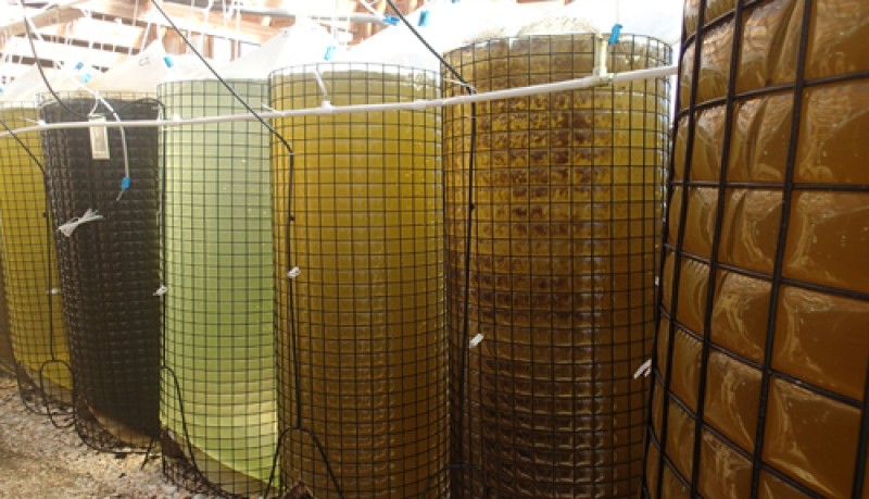 Contact Us - Florida Shellfish Aquaculture Online Resource Guide