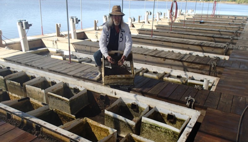 Contact Us - Florida Shellfish Aquaculture Online Resource Guide