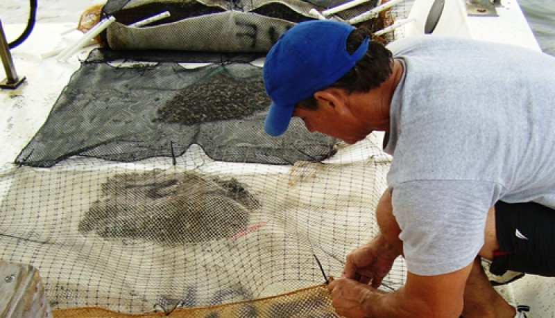 Contact Us - Florida Shellfish Aquaculture Online Resource Guide