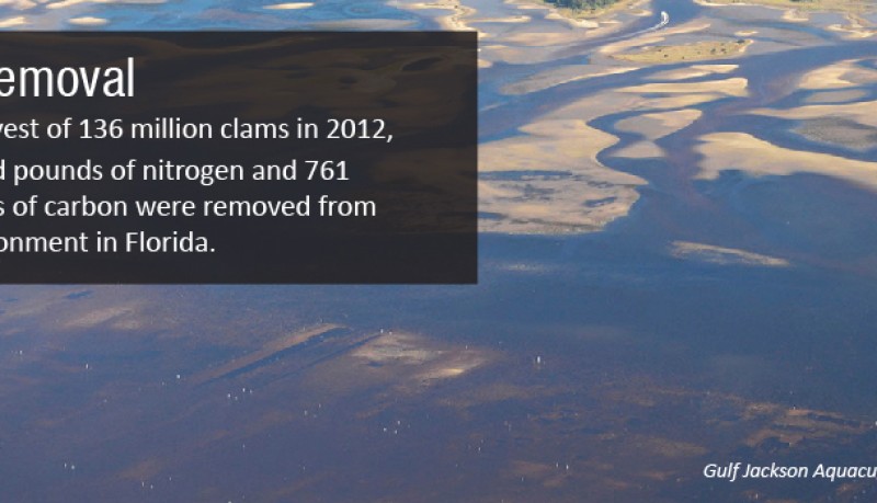 Contact Us - Florida Shellfish Aquaculture Online Resource Guide