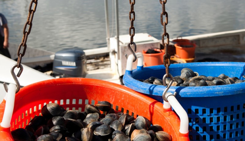 Contact Us - Florida Shellfish Aquaculture Online Resource Guide