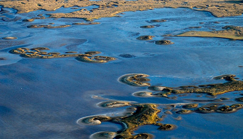 Contact Us - Florida Shellfish Aquaculture Online Resource Guide