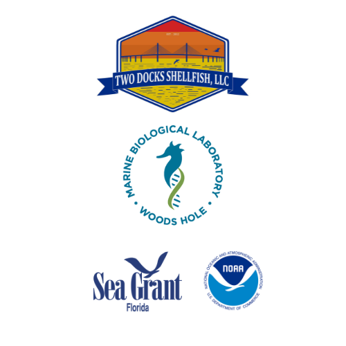 Online Seaweed workshop - Florida Shellfish Aquaculture Online Resource ...
