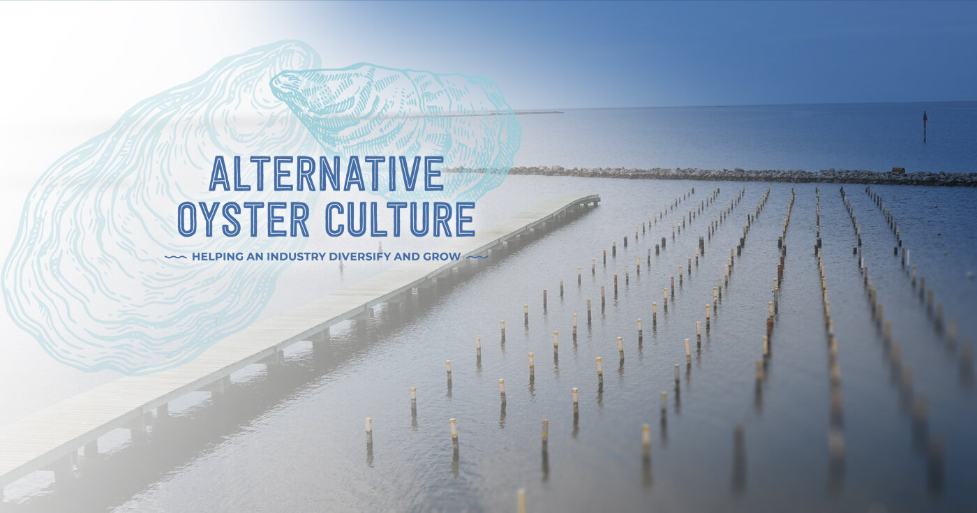Expansion of Alternative Oyster Culture in Louisiana - Florida Shellfish Aquaculture Online ...