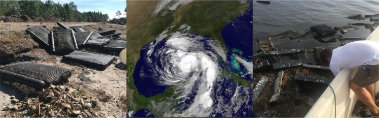 Hurricane Resources - Florida Shellfish Aquaculture Online Resource Guide
