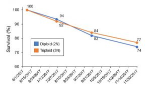 Harvesting UF Field Trials - Florida Shellfish Aquaculture Online ...