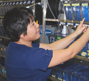 Welcome Dr. Huiping Yang to UF! - Florida Shellfish Aquaculture Online ...