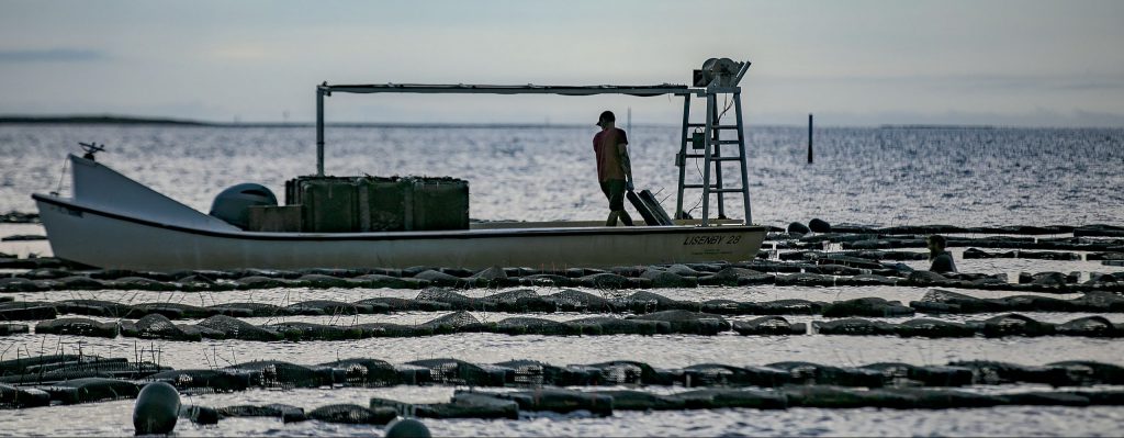 Session 1 - Florida Shellfish Aquaculture Online Resource Guide