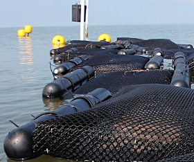 Shellfish Aquaculture Gear Workshop - Florida Shellfish Aquaculture Online Resource Guide