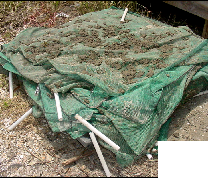 Videos and Presentations from Shellfish Aquaculture Gear Workshop ...