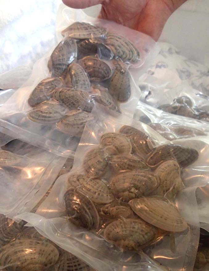 Project VENUS Objective 4 - Florida Shellfish Aquaculture Online ...