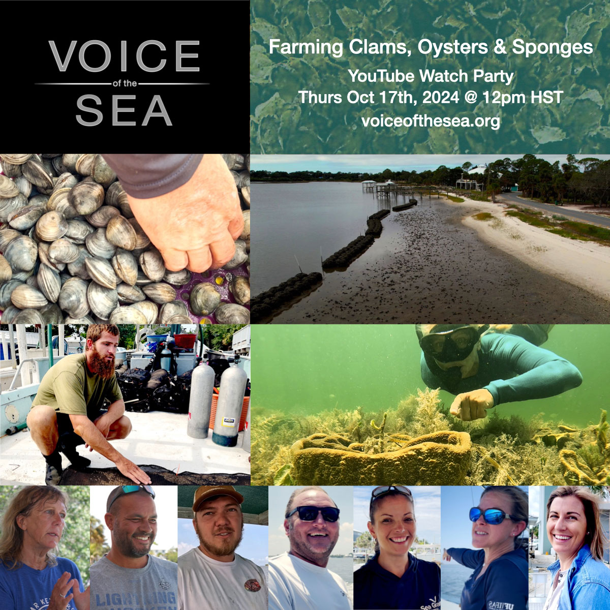 Voice of the Sea TV episode on Farming Clams, Oysters & Sponges in ...
