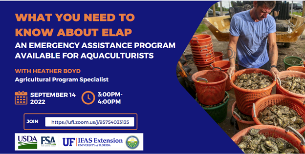 Webinar: What You Need to Know about ELAP- An Emergency Assistance Program Available for ...