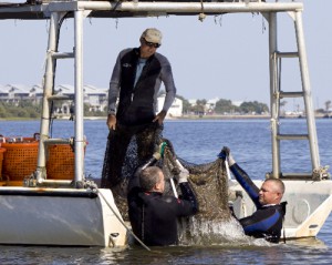 Environmental Benefits - Florida Shellfish Aquaculture Online Resource ...