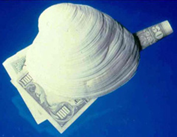 Red Tide Causes Economic Losses to Southwest Florida Industry - Florida ...