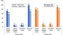 Harvesting UF Field Trials - Florida Shellfish Aquaculture Online ...
