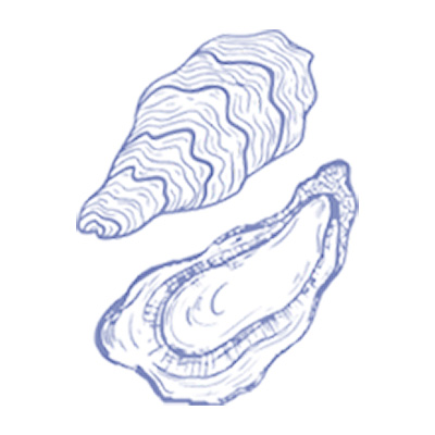 Sign-up for oyster crop insurance by November 30 - Florida Shellfish ...