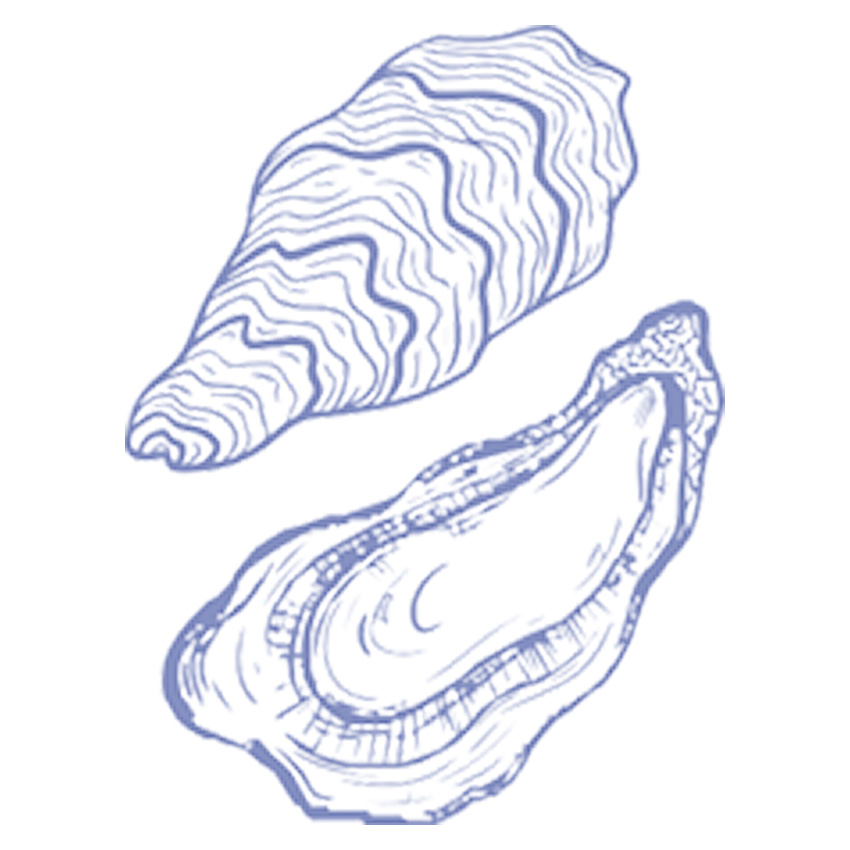 Florida Shellfish Aquaculture Online Resource Guide