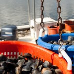 About Us - Florida Shellfish Aquaculture Online Resource Guide